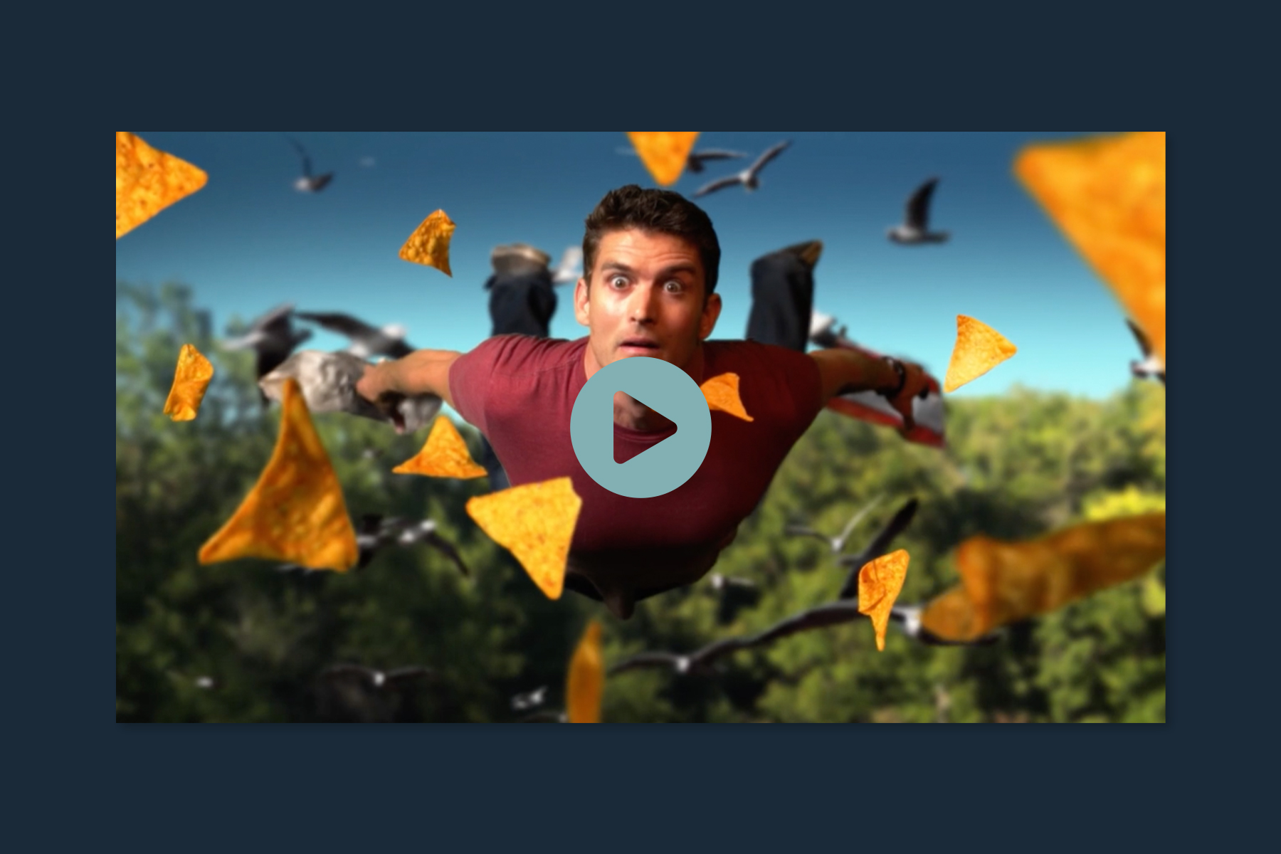 For the Birds - RideDigital